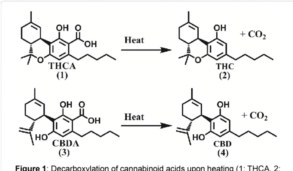 What Is CBDa, THCa And CBD Decarboxylation? - CBD Oil Users