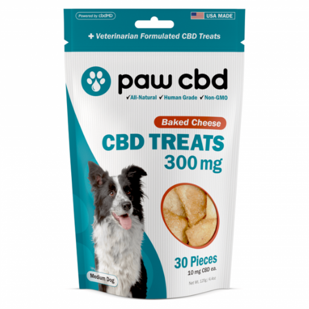The Complete Guide to CBD Oil for Dogs in 2021 - CBD Oil Users